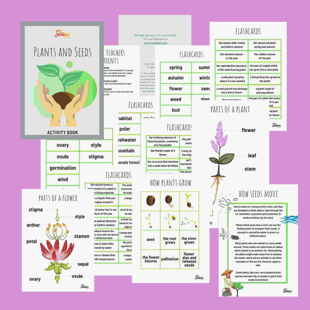 Plants and Seeds Activity Book - Glow Learn